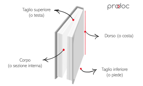 Le parti del libro: scopriamo la sua anatomia - Prodoc | Recupero ...